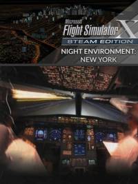 Buy Microsoft Flight Simulator X: Steam Edition - Night Environment ...